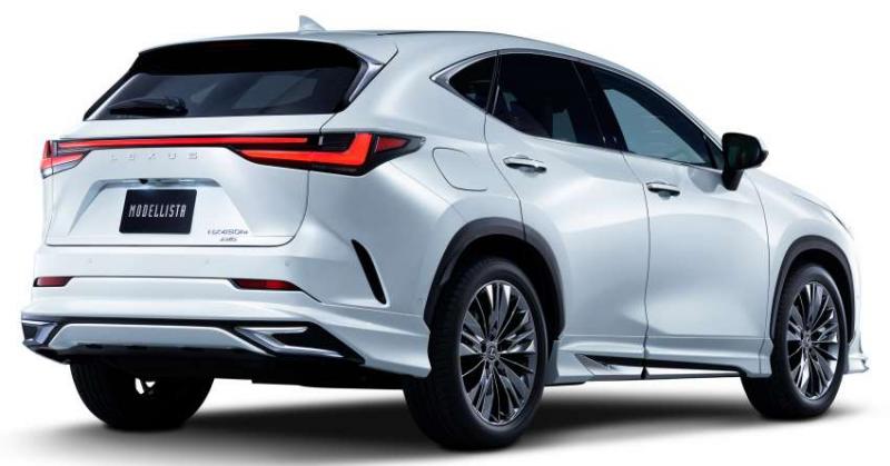 Buat Tampil Beda, TRD dan Modellista Tawarkan Paket Modifikasi Lexus NX